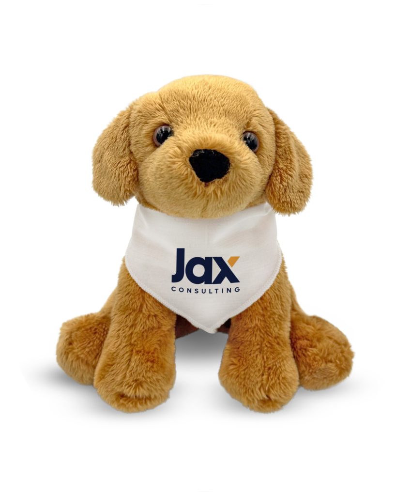 About Us – Jax Consulting